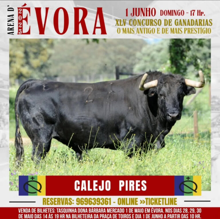 Eventos archivo - Toros hoy