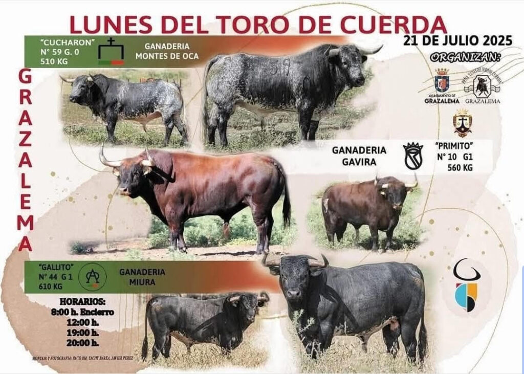 TOROS LUNES DEL TORO DE CUERDA 21 JULIO 2025 - Toros hoy