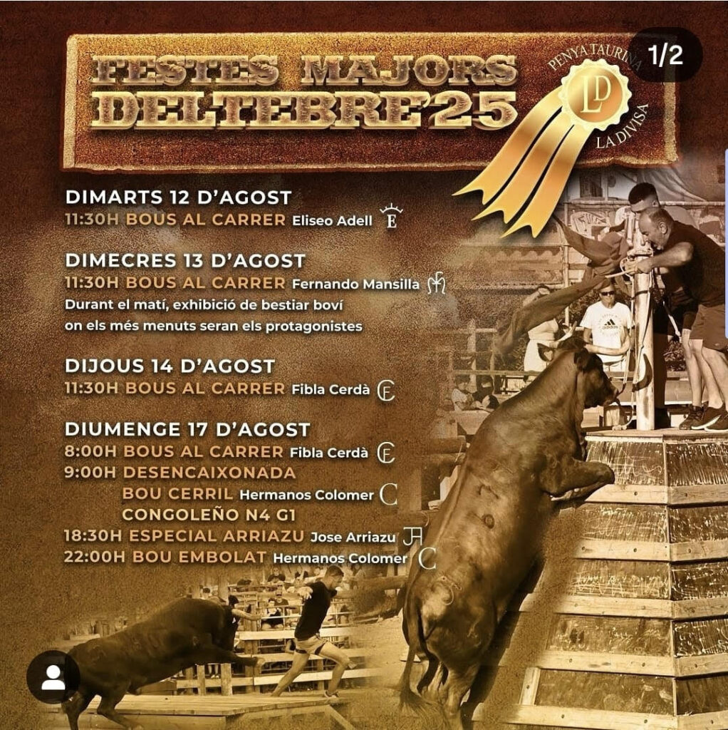 TOROS DELTEBRE DEL 12 AL 14 DE AGOSTO 2025 - Toros hoy