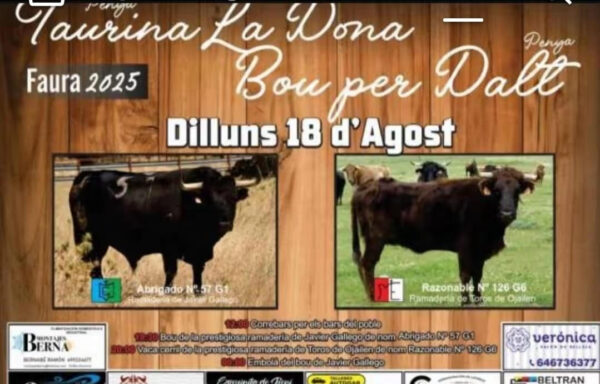 TOROS FAURA 18 AGOSTO 2025 - Toros hoy