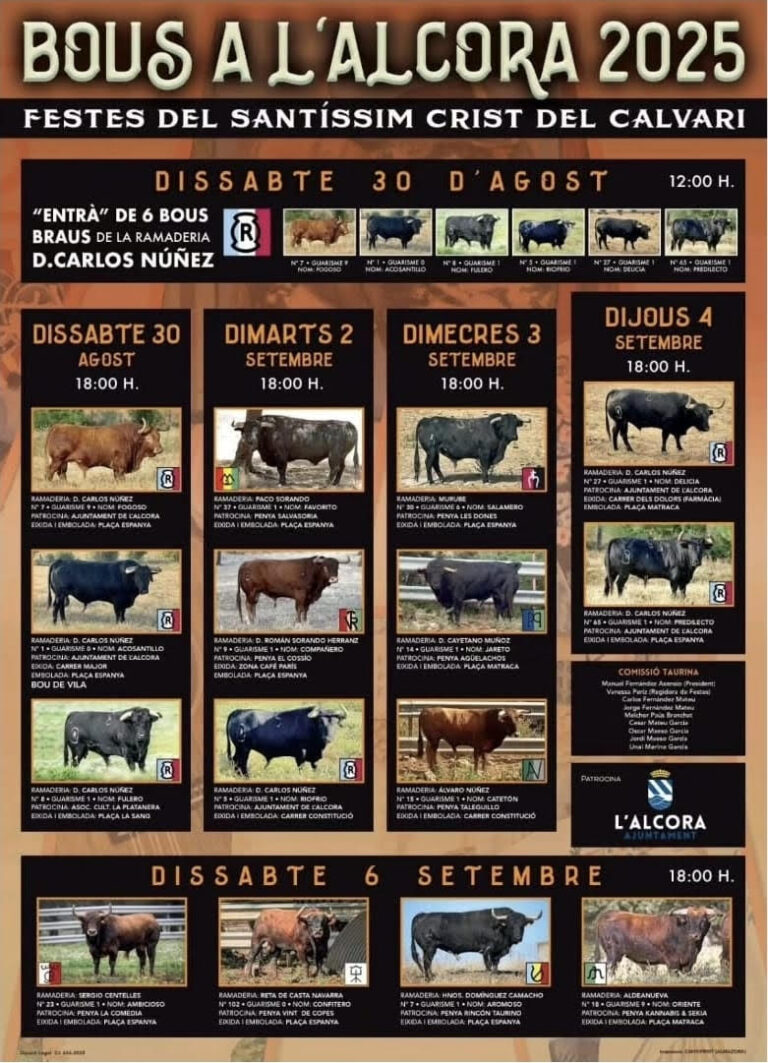 TOROS L'ALCORA DEL 2 AL 4 DE SEPTIEMBRE - Toros hoy