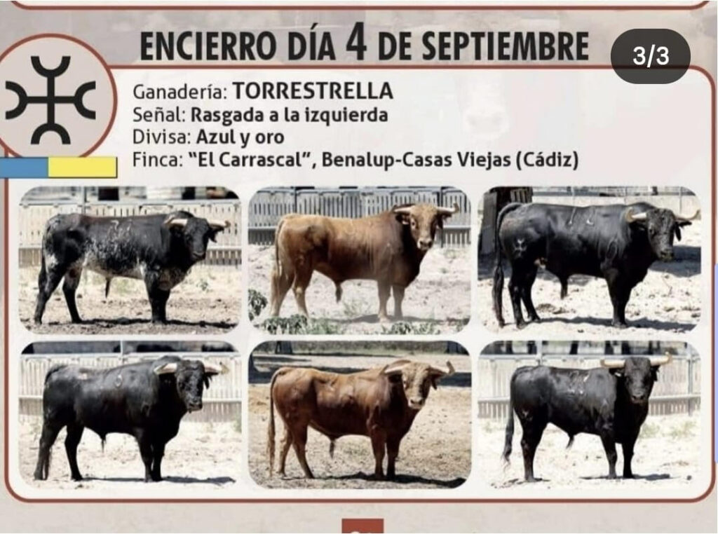 TOROS PALENCIA 4 SEPTIEMBRE 2025 - Toros hoy